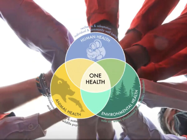 One Health – Pusat Pengetahuan AIHSP